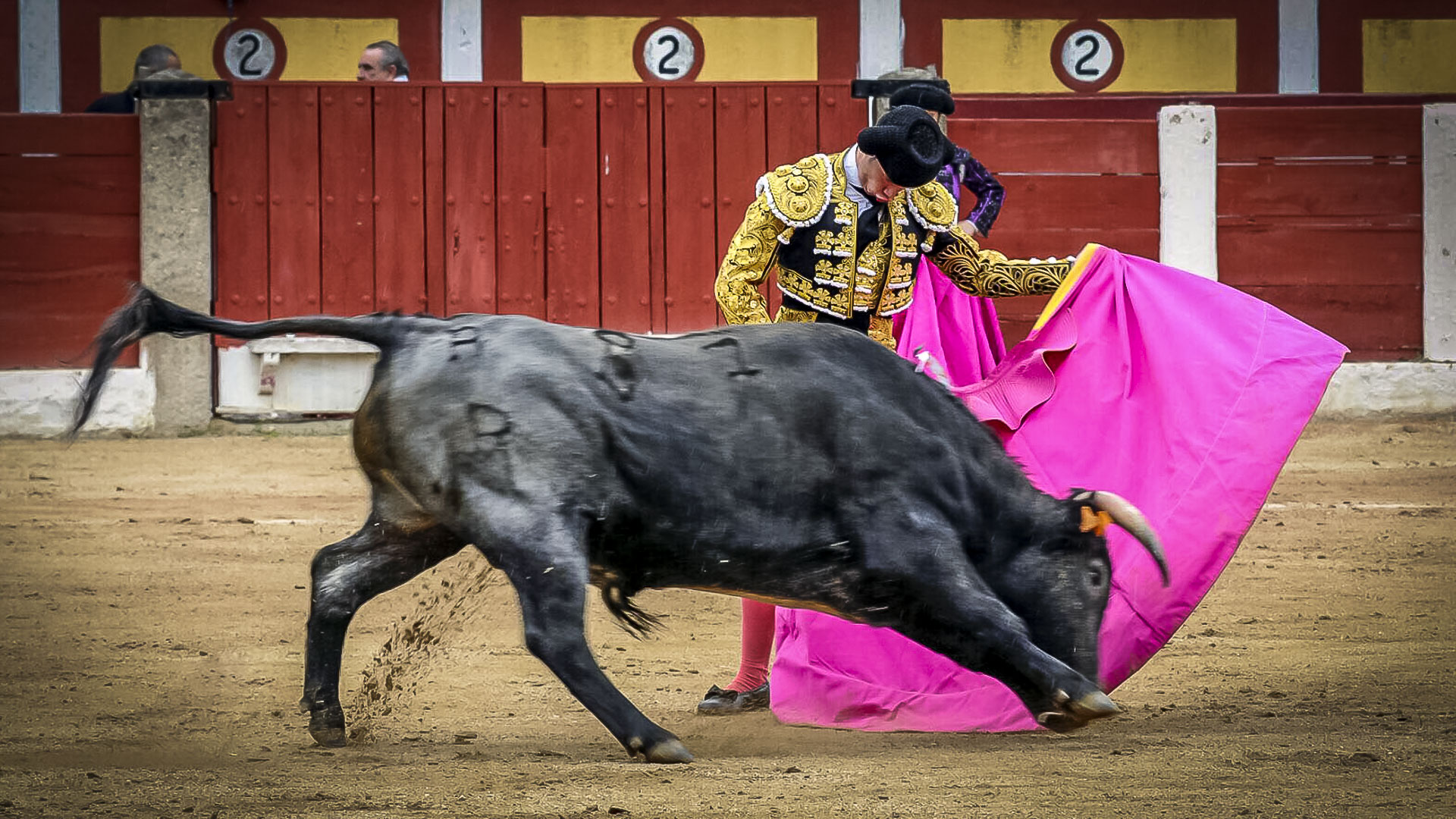 El Torero - Borja Ximelis